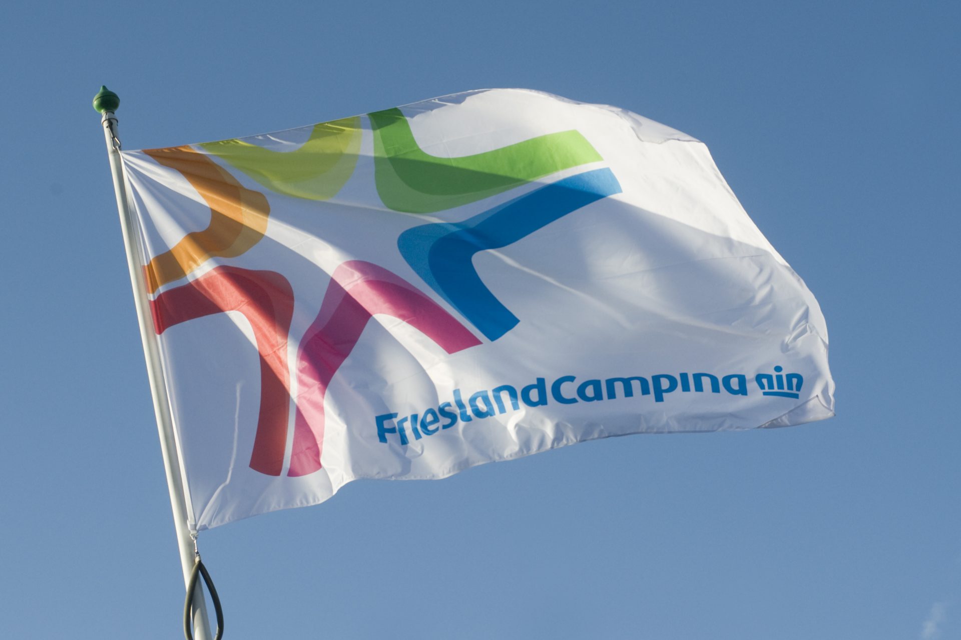 FrieslandCampina signs joint venture with Domty to export cheese to Africa and Middle East ...